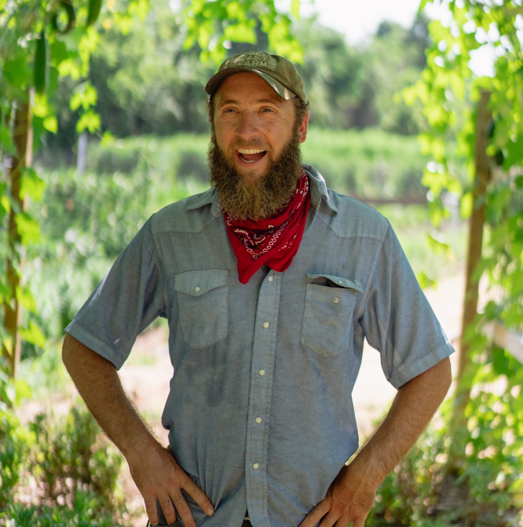 David Barrow – Field Guide Festival