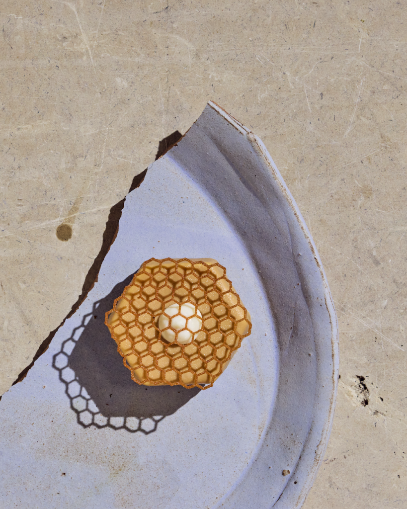 Field Guide Festival – 2024 – Austin, Texas