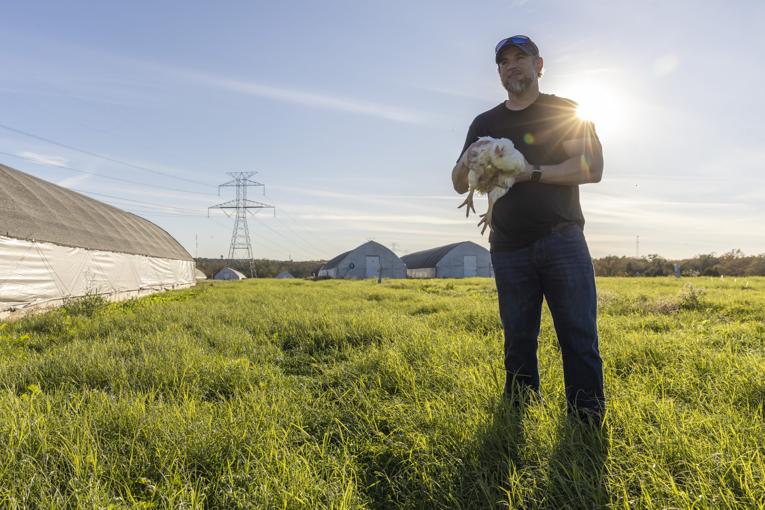 Bring a Chicken to Field Guide! – Field Guide Festival